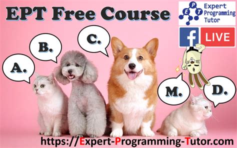 expert programming tutor online learning