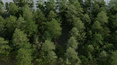 People Water Object Detection Dataset By Dmitry