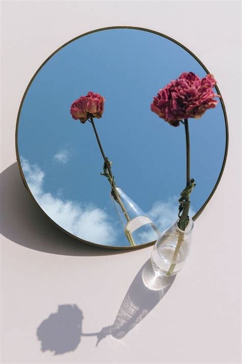 Pin von ريهام جابر auf Quick Saves Blumen