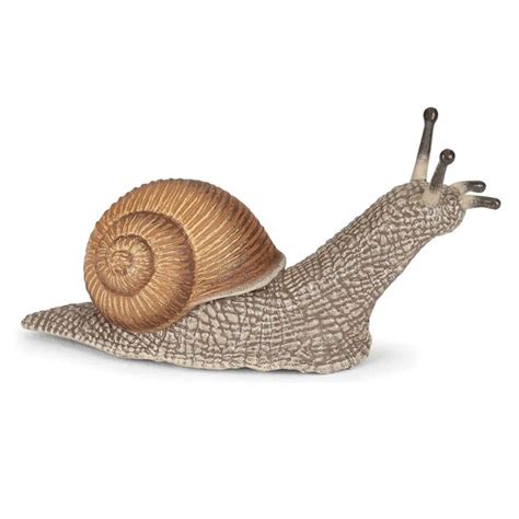 🎁 Papo ლოკოკინა Extra Ge 436508