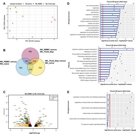 T Cells Impact Rtx Mediated Nk Cell Transcriptomics A The