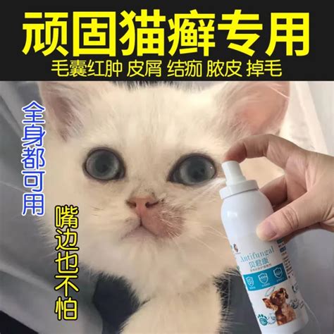 Cat Ringworm Special Purpose Chemicals Removing Cat Moss Skin Disease