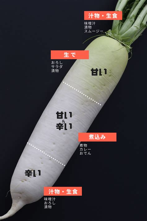 大根まるごと使い切り9レシピ Chef Ja Cooks レシピ 料理 レシピ レシピ 野菜 栄養