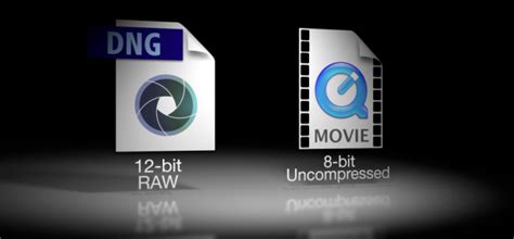 12 Bit Vs 8 Bit Footage Dynamic Range What It REALLY Means Nino Film Blog