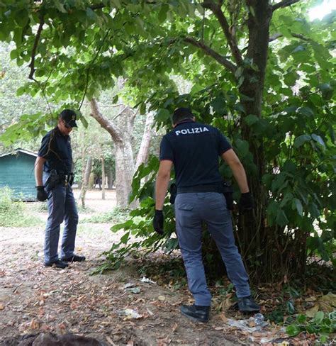 Droga Nascosta Tra I Pini Il Sequestro Della Polizia