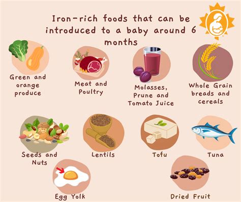 Foods High In Iron For Anemia