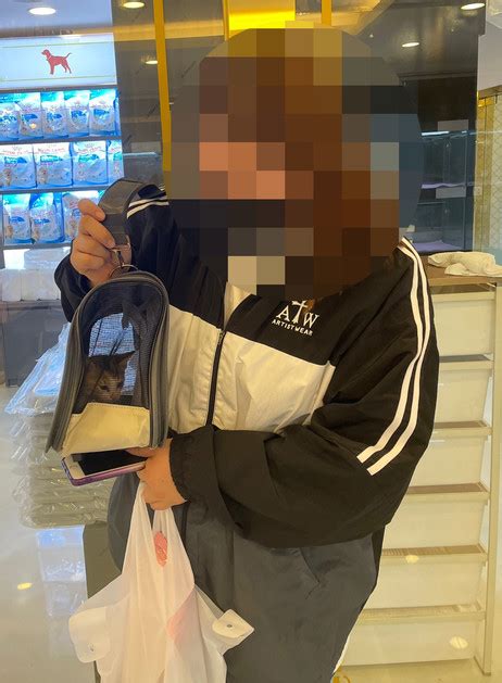 부산화명 2022 0105 코리안숏헤어 화미 책임분양 사모예드책임분양 스피츠책임분양 시바견책임분양 시베리안허스키책임분양 시츄책임분양 요크셔테리어책임분양 웰시코기책임분양