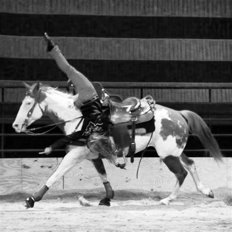 13 Best Trick Riding Moves Images On Pinterest Horse Tricks Trick