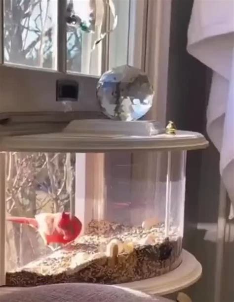 Kris® On Linkedin Vulnerabilities Patch Sqlinjection Sql Cybersecurity