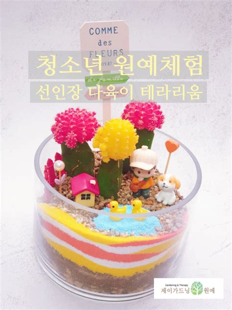 선인장다육이 테라리움만들기 어린이 청소년 유치원 초등학생 학교원예체험수업교육 네이버 블로그