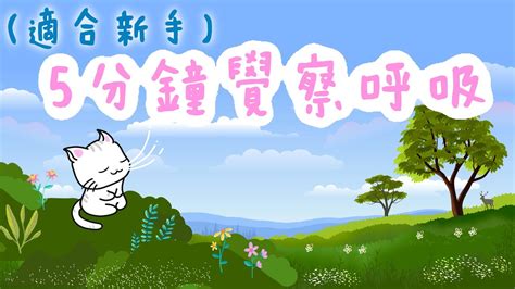 【更有意識地呼吸】廣東話引導丨冥想入門丨適合忙碌的你丨放鬆身心丨覺察呼吸丨冥想小貓🐱5分鐘引導 Youtube