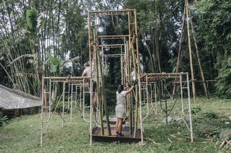 The Ultimate Step By Step Guide To Treating Bamboo Bamboo U