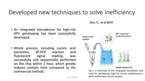 Solid Phase Pcr And Suicide Pcr Pdf Chemistry Science