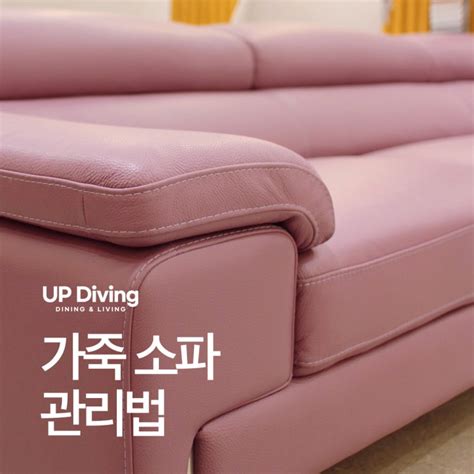 가죽소파 청소 가죽쇼파 관리법 네이버 블로그