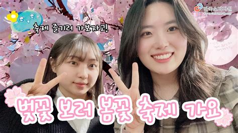 축제 브이로그 벚꽃보러 봄꽃축제 가요 Youtube