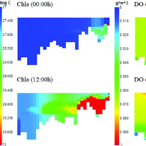 simulation of the daily variation of temperature chlorophyll a and