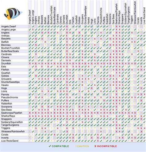 Petco Fish Compatibility Chart Ape Aquarium Fish