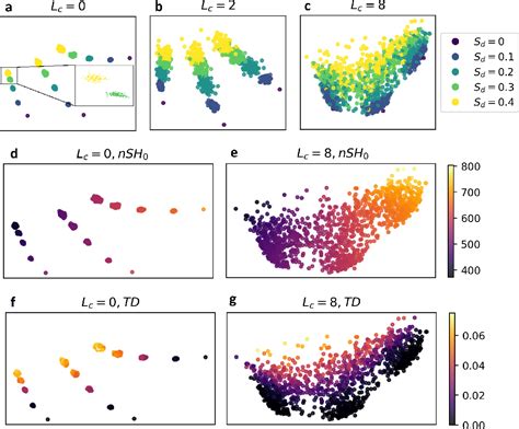 Figure 1 From Topological Learning For The Classification Of Disorder An Application To The