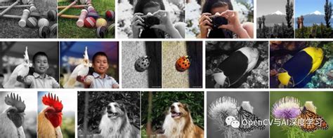 基于opencv Dnn模块给黑白老照片上色附pythonc源码 腾讯云开发者社区 腾讯云