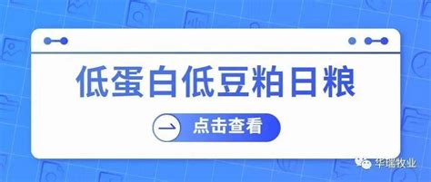 蛋白原料暴涨，低蛋白、低豆粕日粮掀起热潮！应注意哪些关键点，能避免踩坑？kg电解质利用率