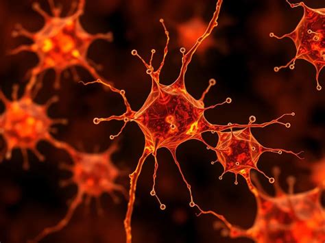 Cell Potential 14 Fascinating Secrets You Never Knew