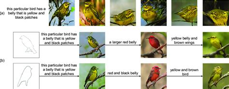 A The Synthesized Results Of Attngan [5] Given The Input Text Download Scientific Diagram