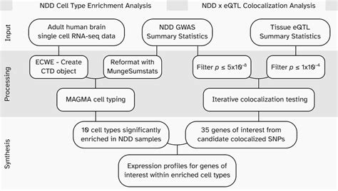 workflow diagram ndd neurodegenerative disease gwas genome wide