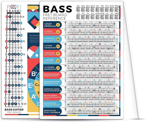 Laminated 6 String Bass Fretboard Notes Chart Nashville