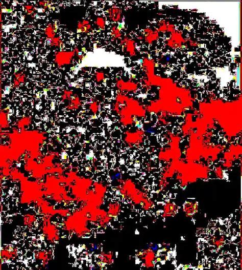 Added Layer 3 Rnukedrequests