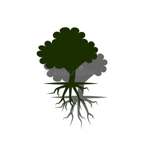 Tree With Root System Stock Vector Illustration Isolated On White