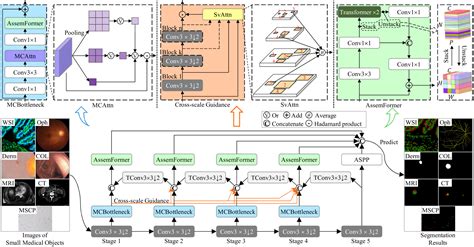 Advancing Medical Image Segmentation With Mini Net A Lightweight