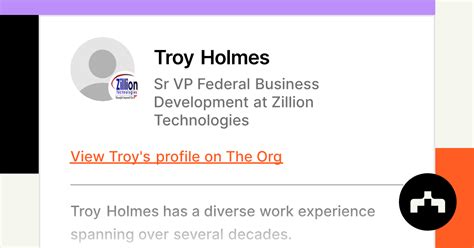 Troy Holmes Sr Vp Federal Business Development At Zillion