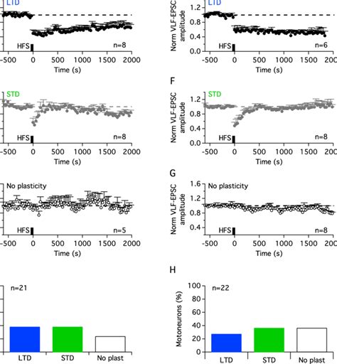 Activity Dependent Synaptic Plasticity At Vlf Cervical Mn Synapses