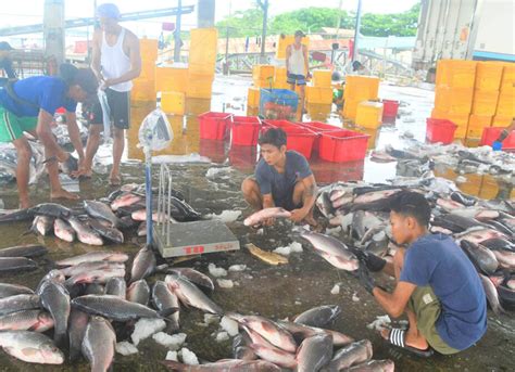 ကော့သောင်း Fob စစ်ဆေးရေးစခန်းမှ ထိုင်းနိုင်ငံ ရနောင်းသို့ ရေထွက်ကုန်တန်ချိန် ၂၀၀၀ နီးပါး တင