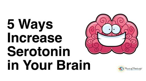 Do You Have Low Serotonin Levels Artofit