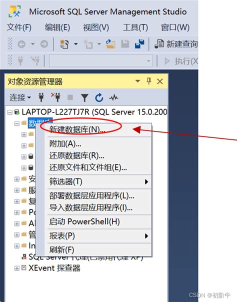 使用sql语句创建数据库与创建表 数据库建表 csdn博客