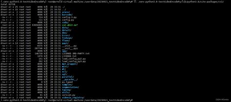 Python Venv虚拟环境报错：父目录更名或移动后无法找到库，modulenotfounderror No Module Named ‘xxx‘（得重新创建虚拟环境。。。）venv报错