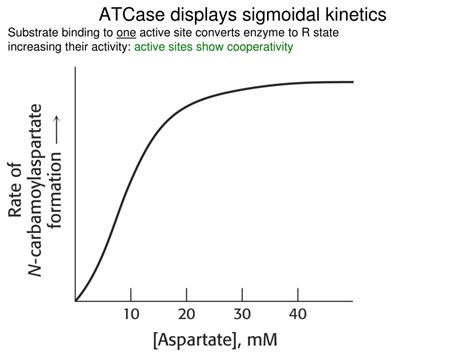 Ppt Enzymes Kinetics Inhibition Regulation Powerpoint Presentation