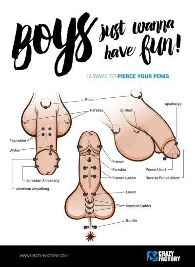 Good Infographic On All The Different Types Of Pen Tumbex