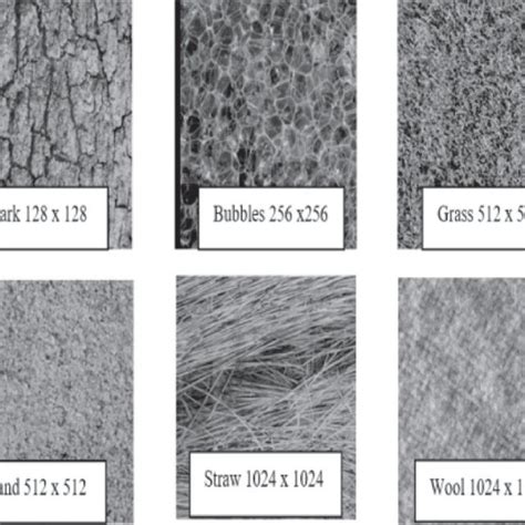 Samples Of Six Texture Classes Of 512 × 512 At Various Rotation Angles Download Scientific