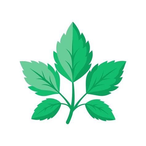Beautiful Flat Style Leaf Herb Icon Vector Illustration Premium Ai