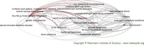 45x46xy Mixed Gonadal Dysgenesis Disease Malacards Research