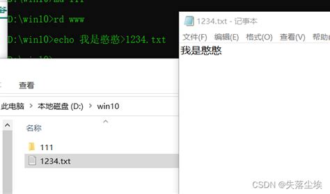 Windows Windows Echo Csdn