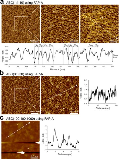 Afm Characterization Of Dna Nanosheets Self Assembled At The Download Scientific Diagram