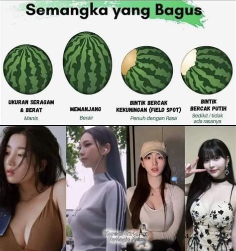 Bentuk Semangka Jika Ada Yg Belum Tahu GAG