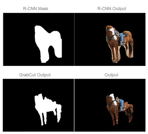 تجزئة الصورة باستخدام شبكة الطي العصبونية المناطقية ذات القناع وغرابكت Image Segmentation with