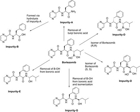 Bortezomib And Its Degradation Products Download Scientific Diagram