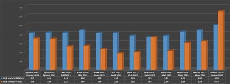 Do Your Excel Work With Detailed Formulas And Macros By Vexag005 Fiverr