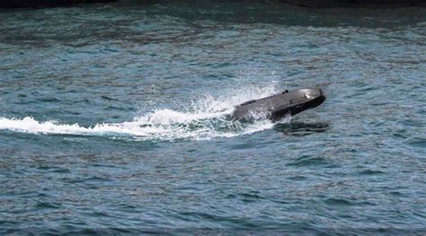 Росіяни почали використовувати морські дрони проти України Ukrainian Shipping Magazine