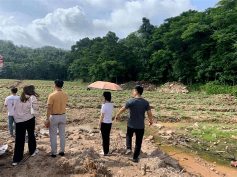 真抓实干火炬分局积极推进临时用地复垦整改工作 土地